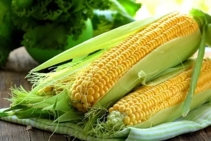What is the best to reduce bad cholesterol? - Story To Park